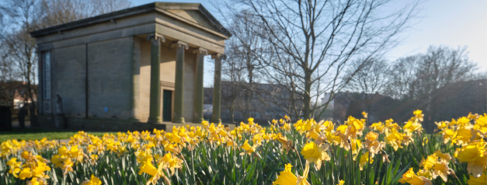 Daffodils outside St George's Field - Estates and Facilities